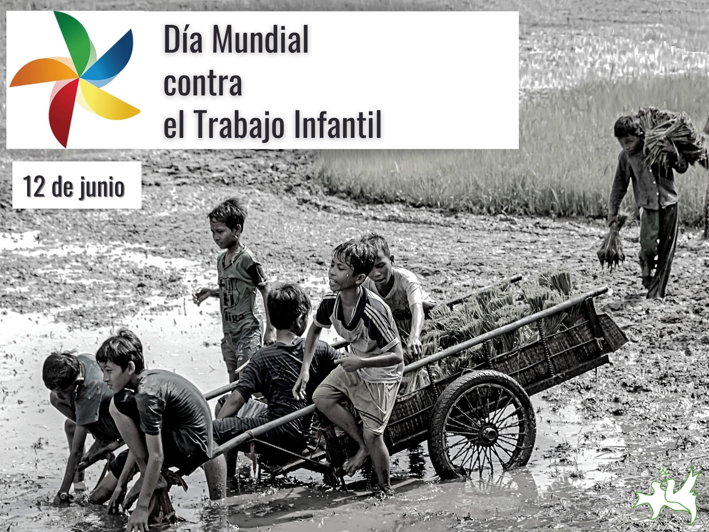 Día Mundial contra el Trabajo Infantil – Peace and Cooperation
