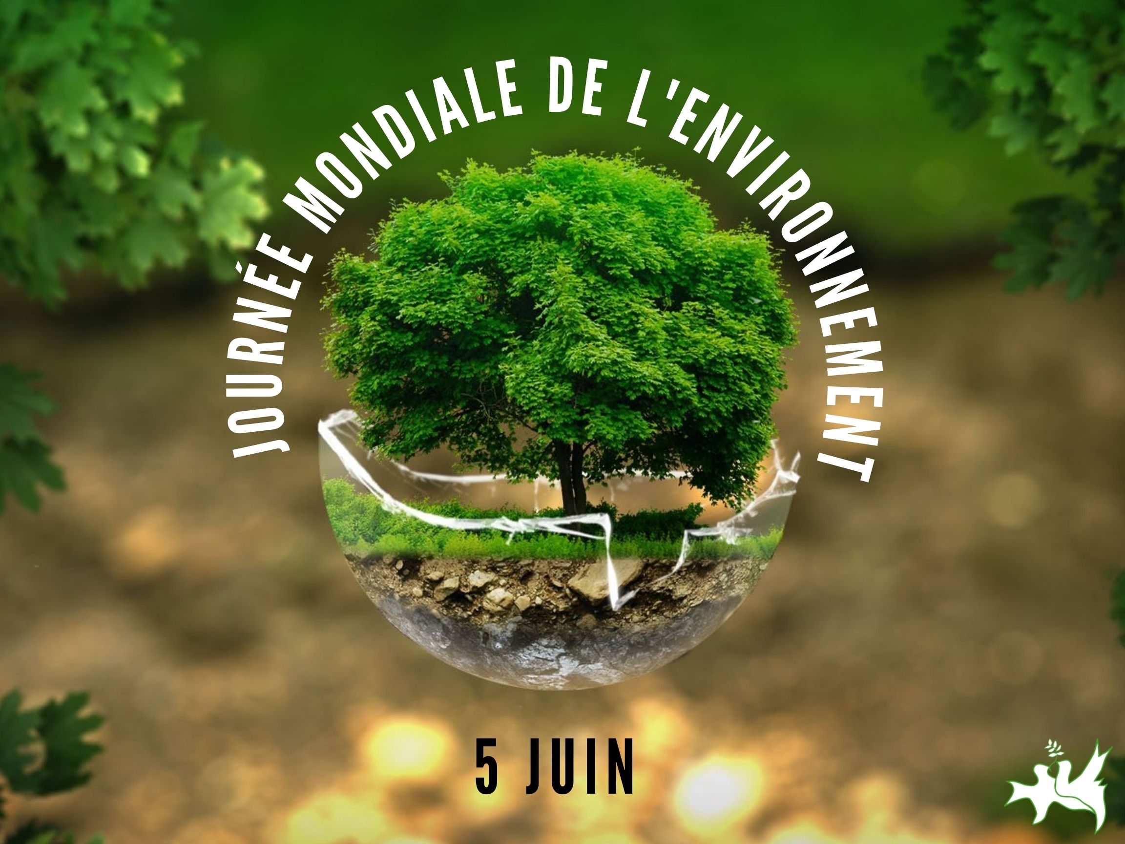 Journée mondiale de l’environnement – Peace and Cooperation