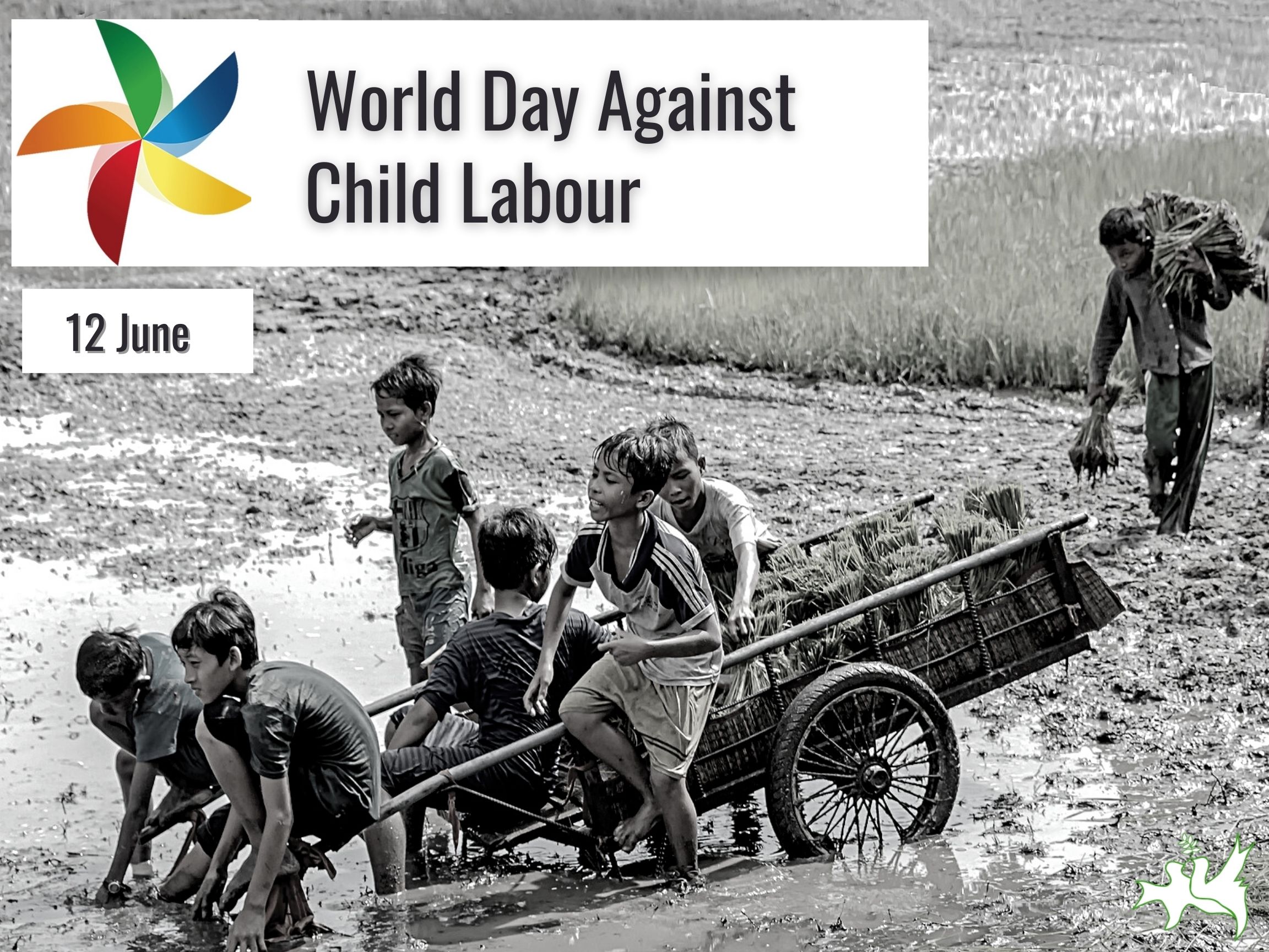 World Day Against Child Labour Peace And Cooperation World Day Against Child Labour Peace And Cooperation