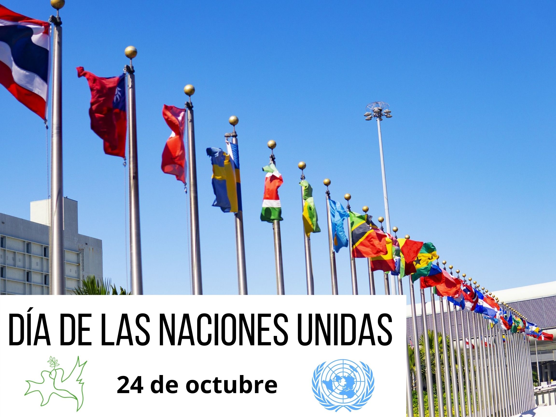 Día de las Naciones Unidas – Peace and Cooperation